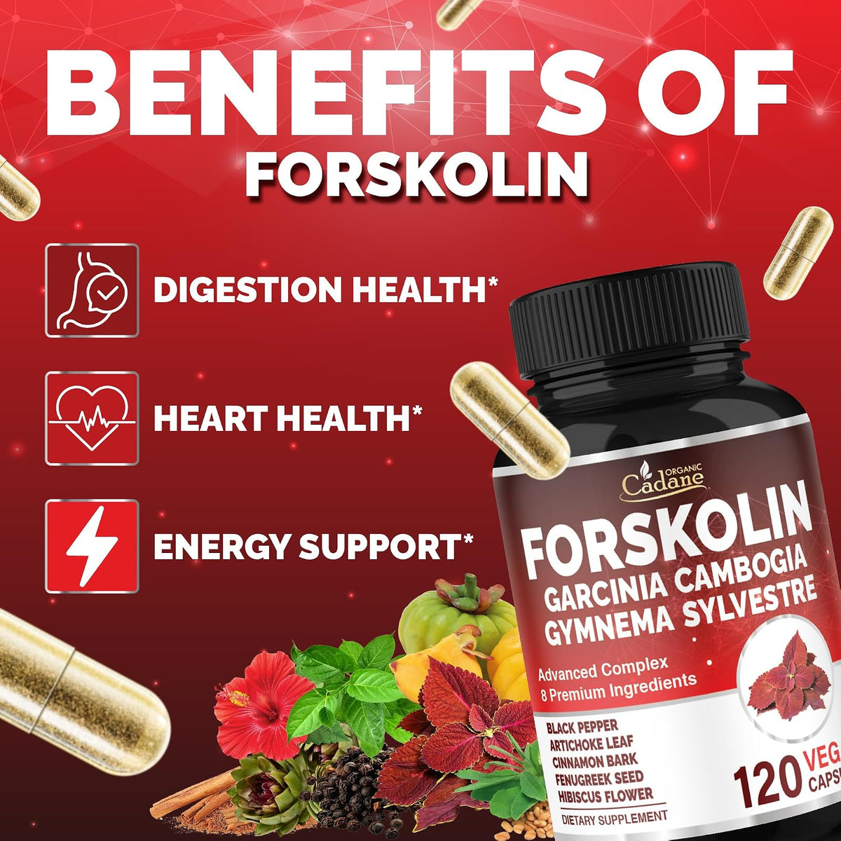 support metabolism with Forskolin