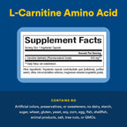 support metabolism with l-carnitine