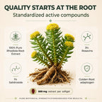 Support mood with Rhodiola Rosea