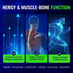 support muscle function with magnesium