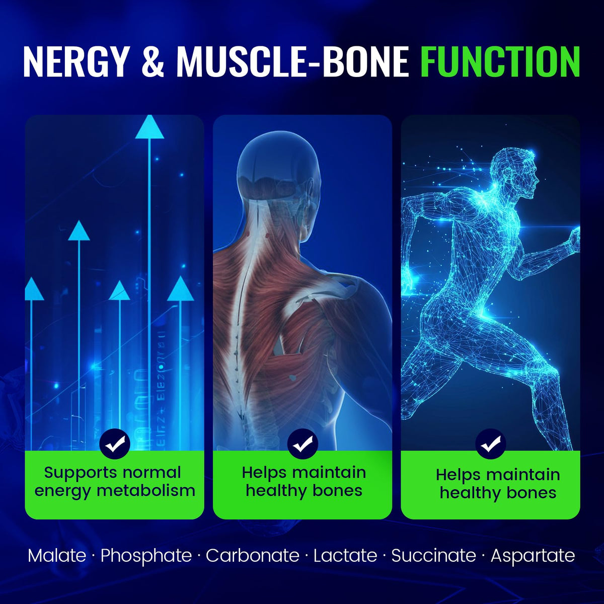 support muscle function with magnesium