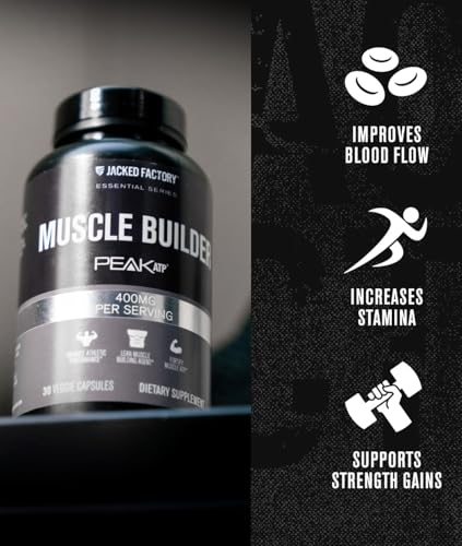 support muscle growth and recovery