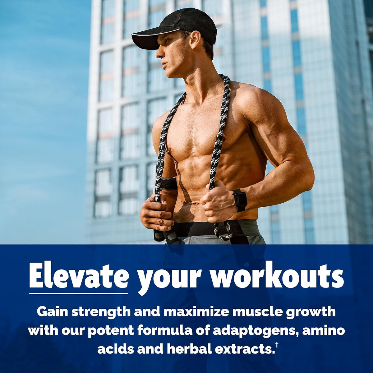 support muscle growth and recovery