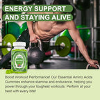 support muscle growth with bcaa