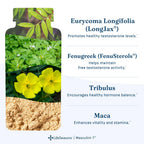 support muscle growth with testosterone