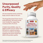 support muscle recovery with amino acids