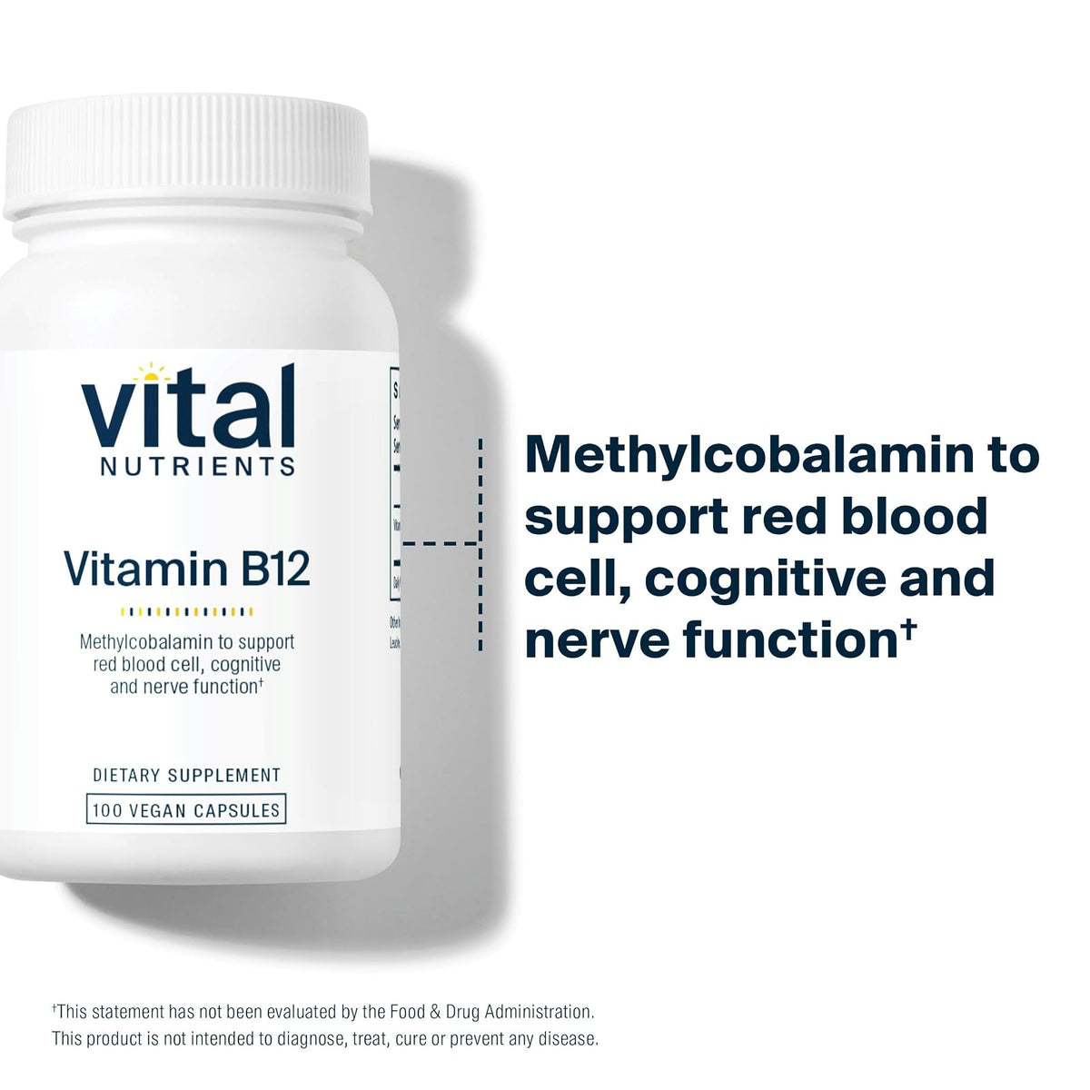 support nerve health vitamin b12