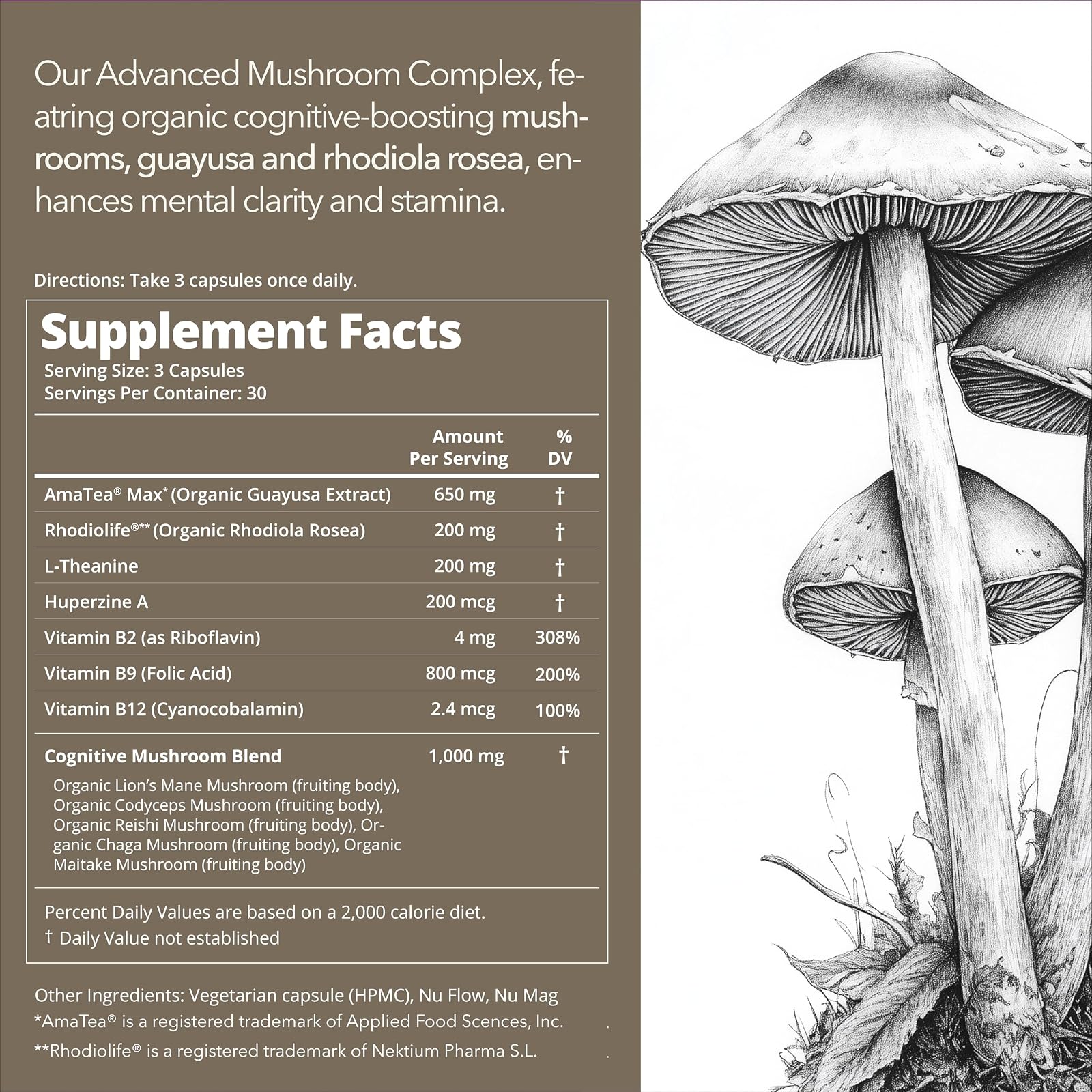 support nerve health with lion's mane