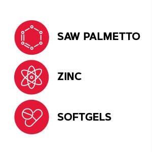 support normal prostate function with saw palmetto
