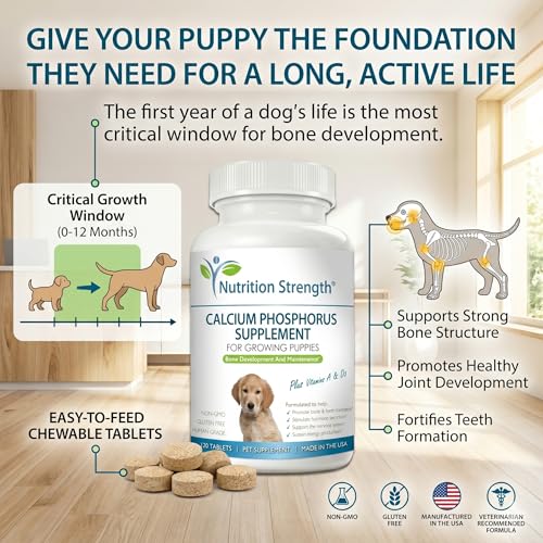 support nursing dogs with calcium