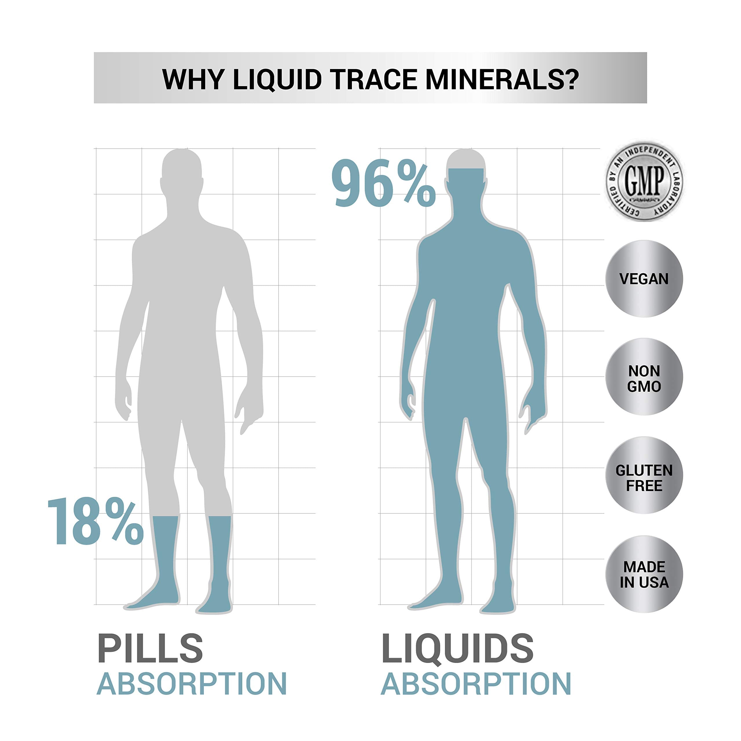 support nutrient absorption naturally