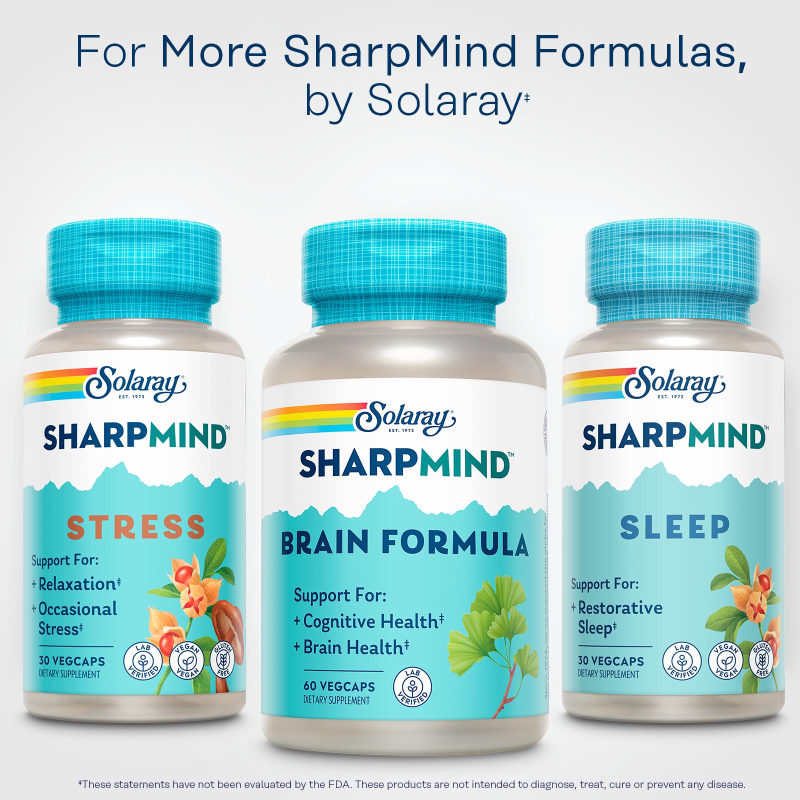 support overall brain wellness