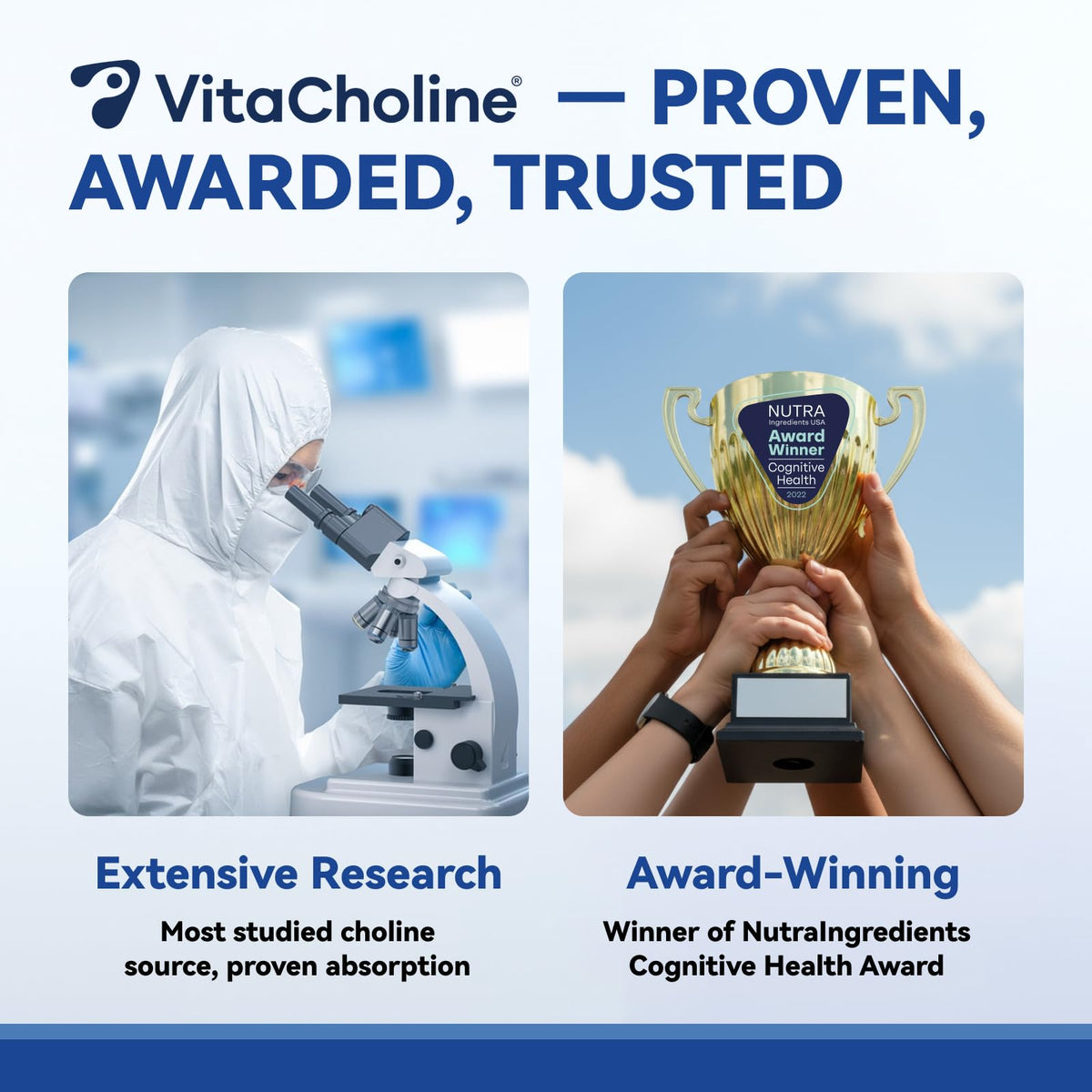 support prenatal development with choline