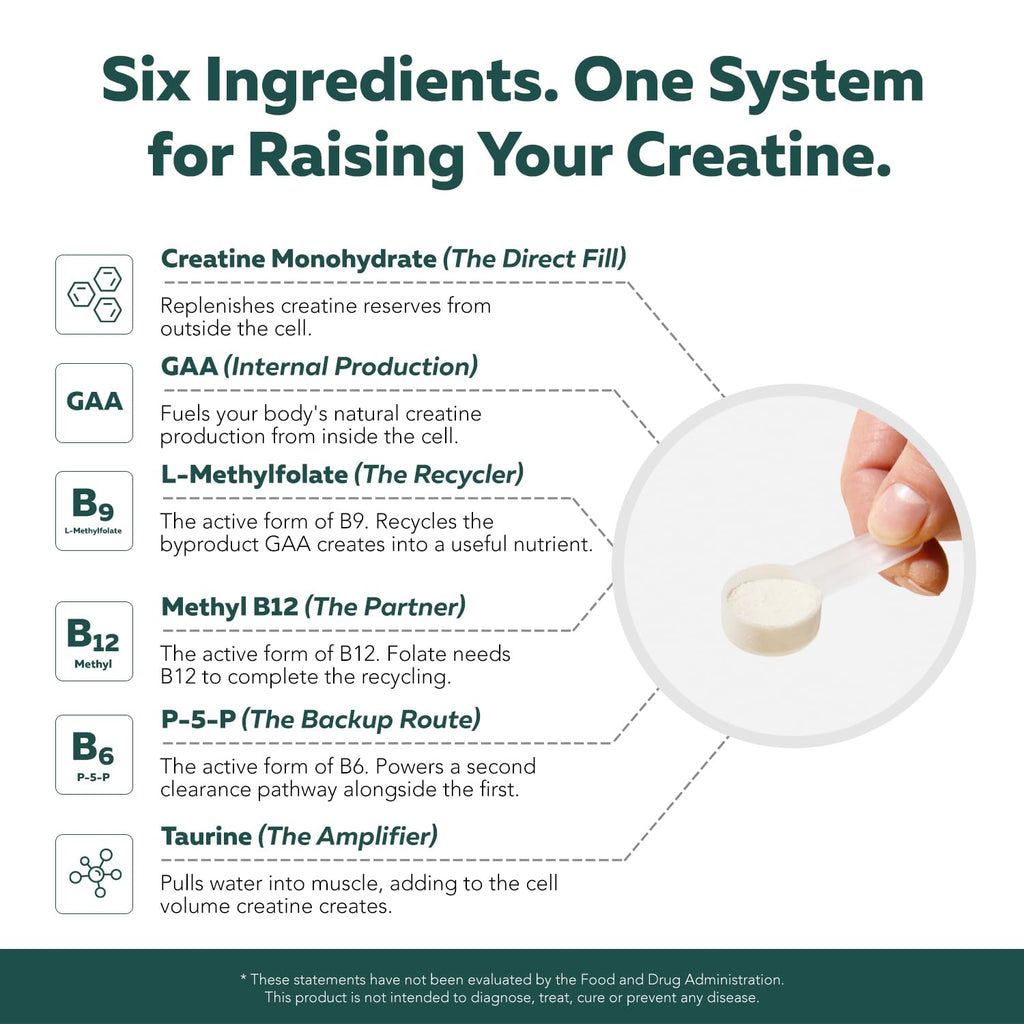 Support recovery with creatine reserve