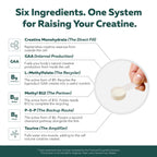 Support recovery with creatine reserve