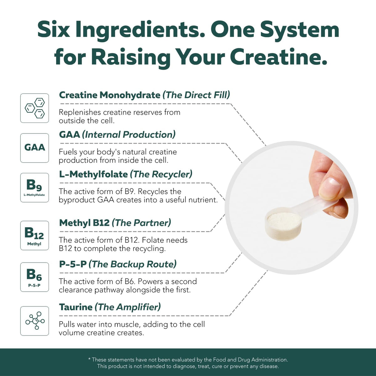 Support recovery with creatine reserve