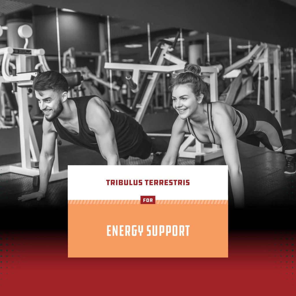 support recovery with tribulus extract