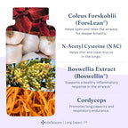 support respiratory function with coq10