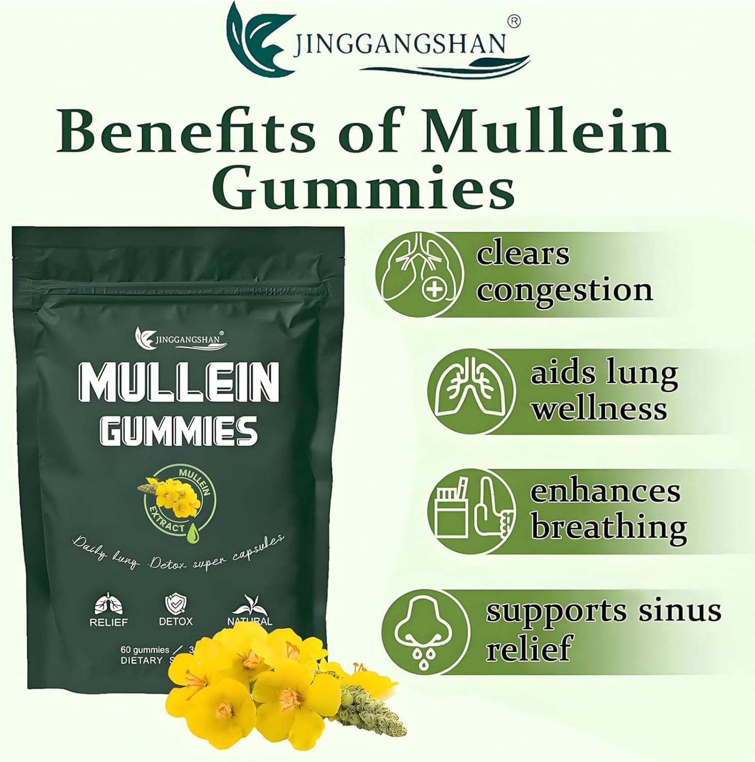 Support respiratory function with echinacea