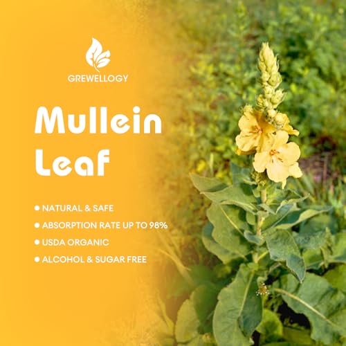 support respiratory function with herbs