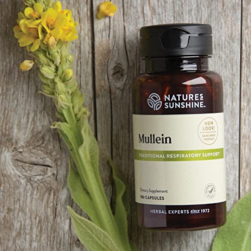 support respiratory function with mullein