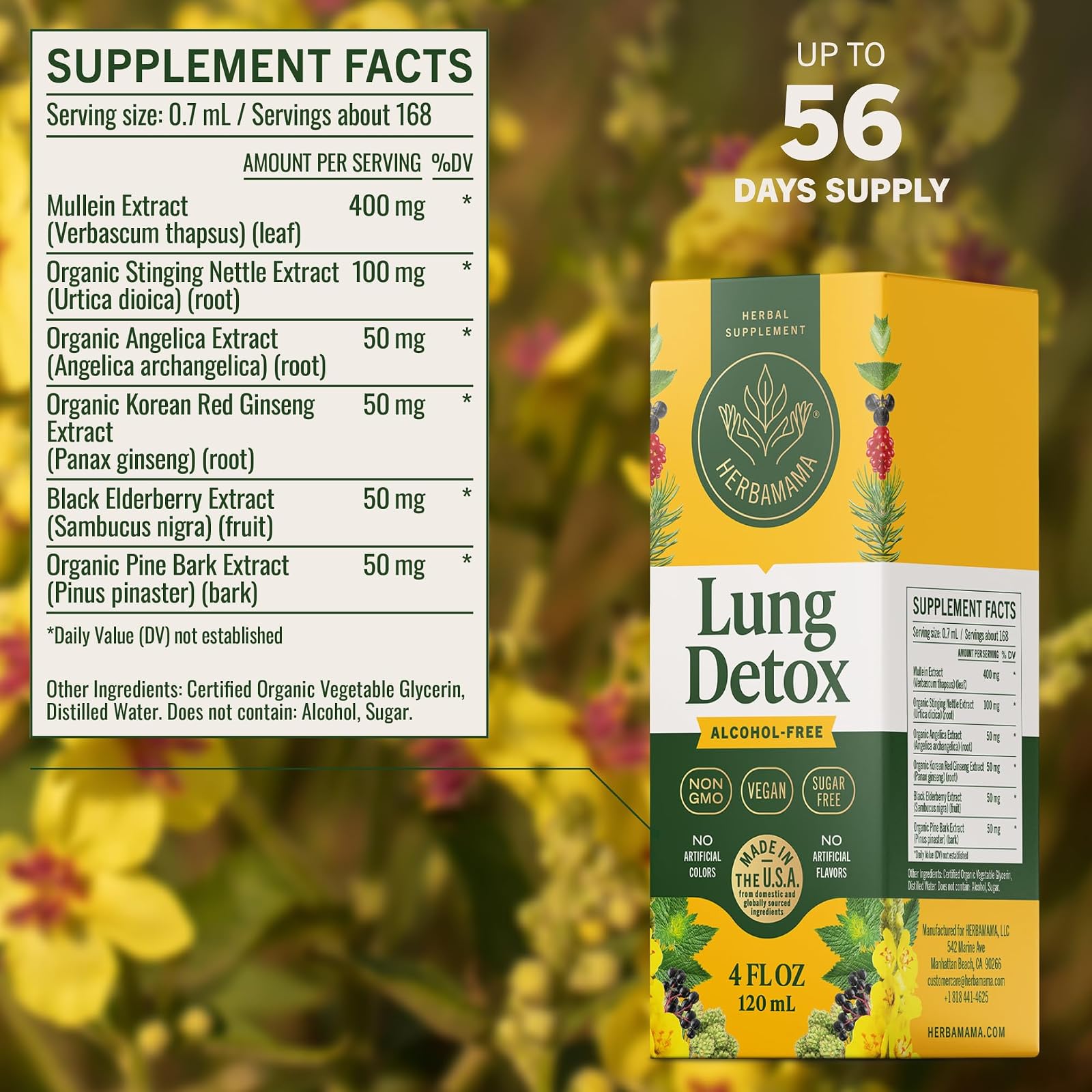 support respiratory health with mullein