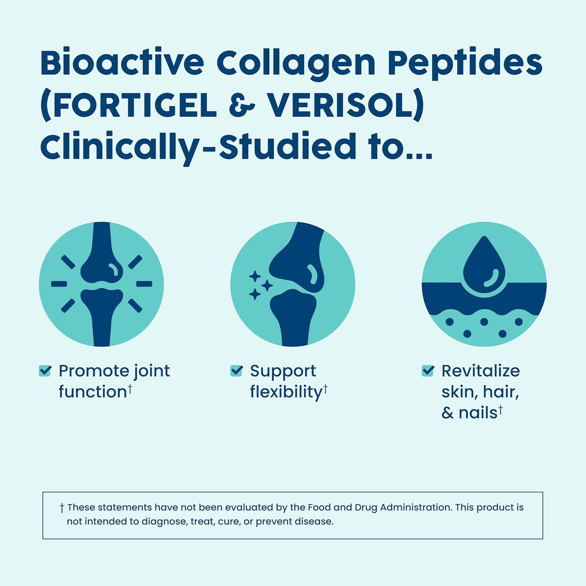 support skin elasticity with collagen