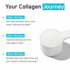 support skin health with collagen