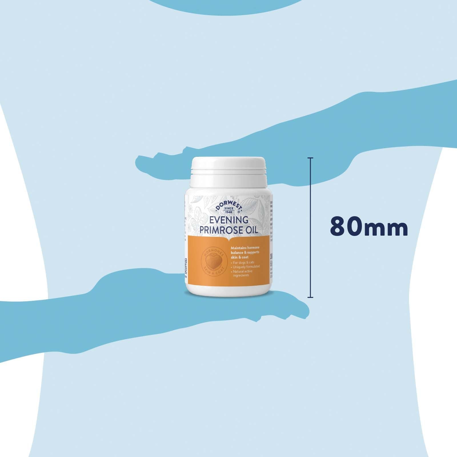 support skin health with evening primrose