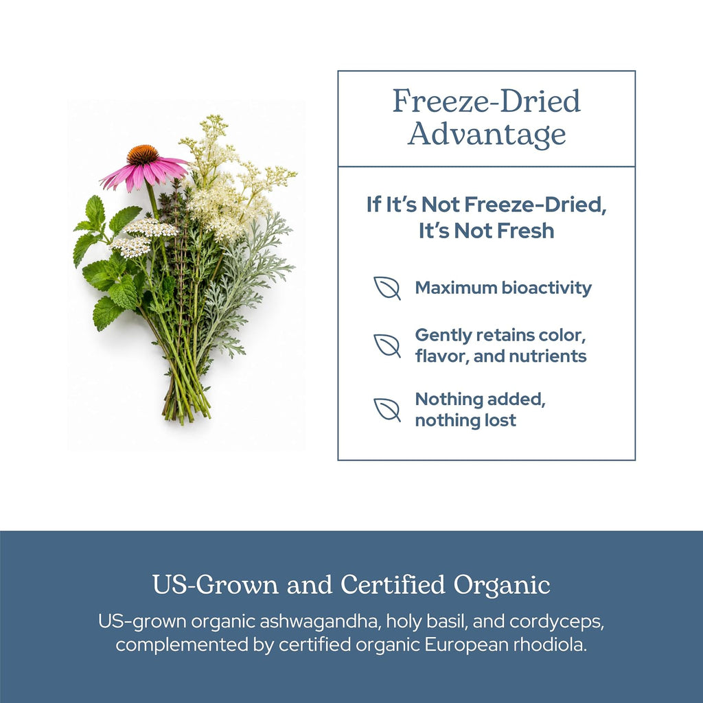 support stress resilience with herbs