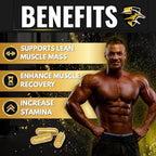 support testosterone levels naturally