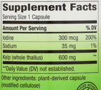 support thyroid function with iodine