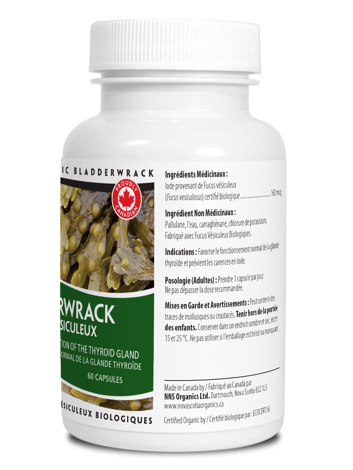 support thyroid function with iodine