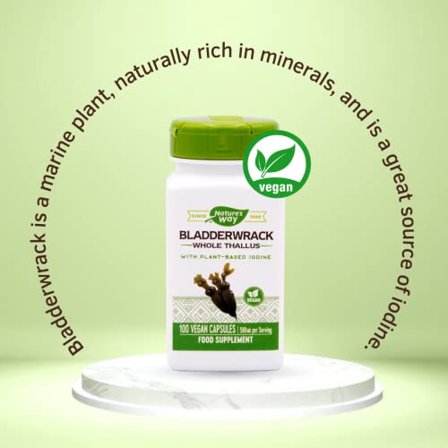 support thyroid health with Bladderwrack