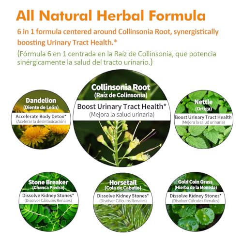 support urinary tract function naturally