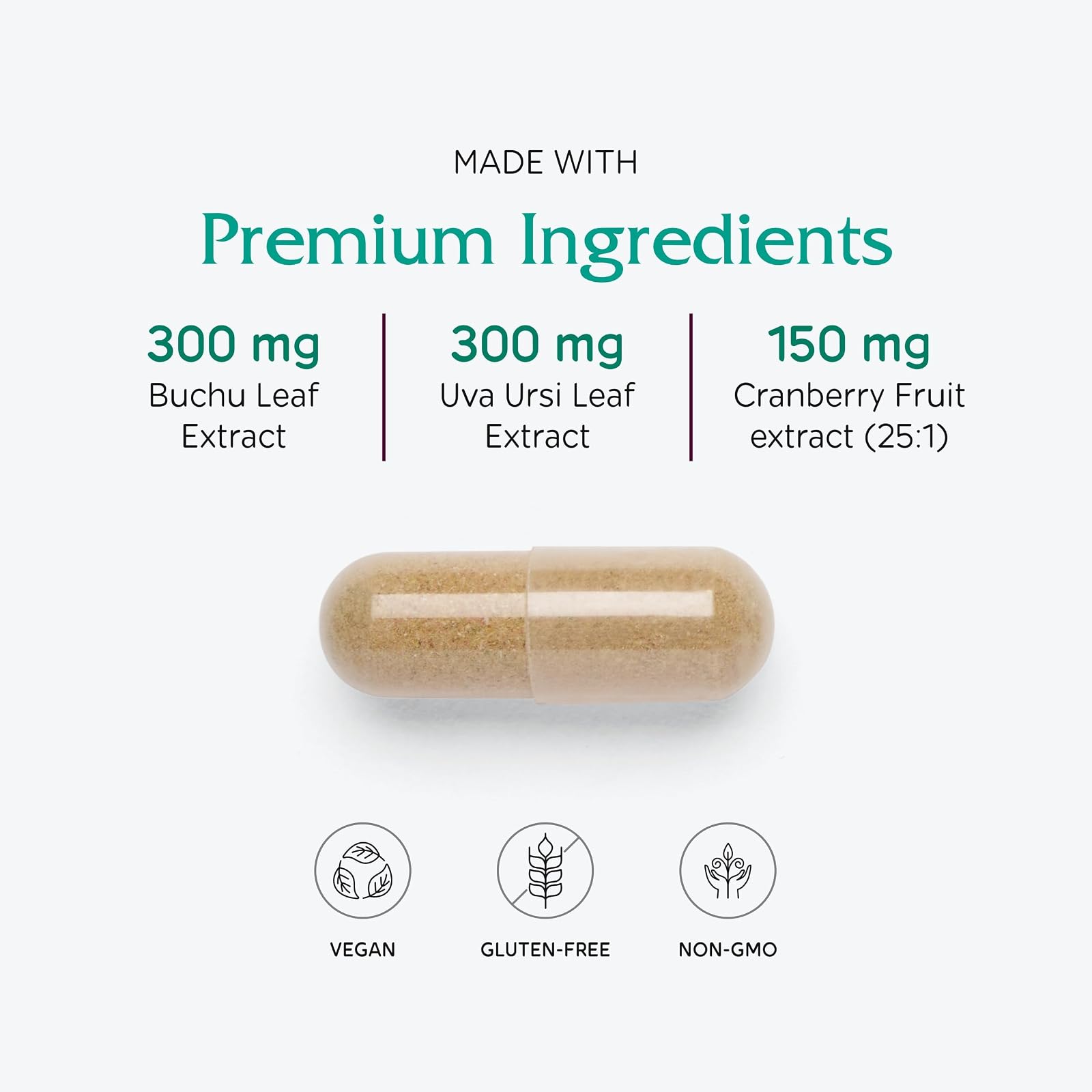 support urinary tract health