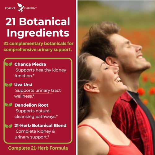 support urinary tract with probiotics
