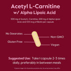 support weight loss with l-carnitine