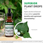 support weight management with Houttuynia