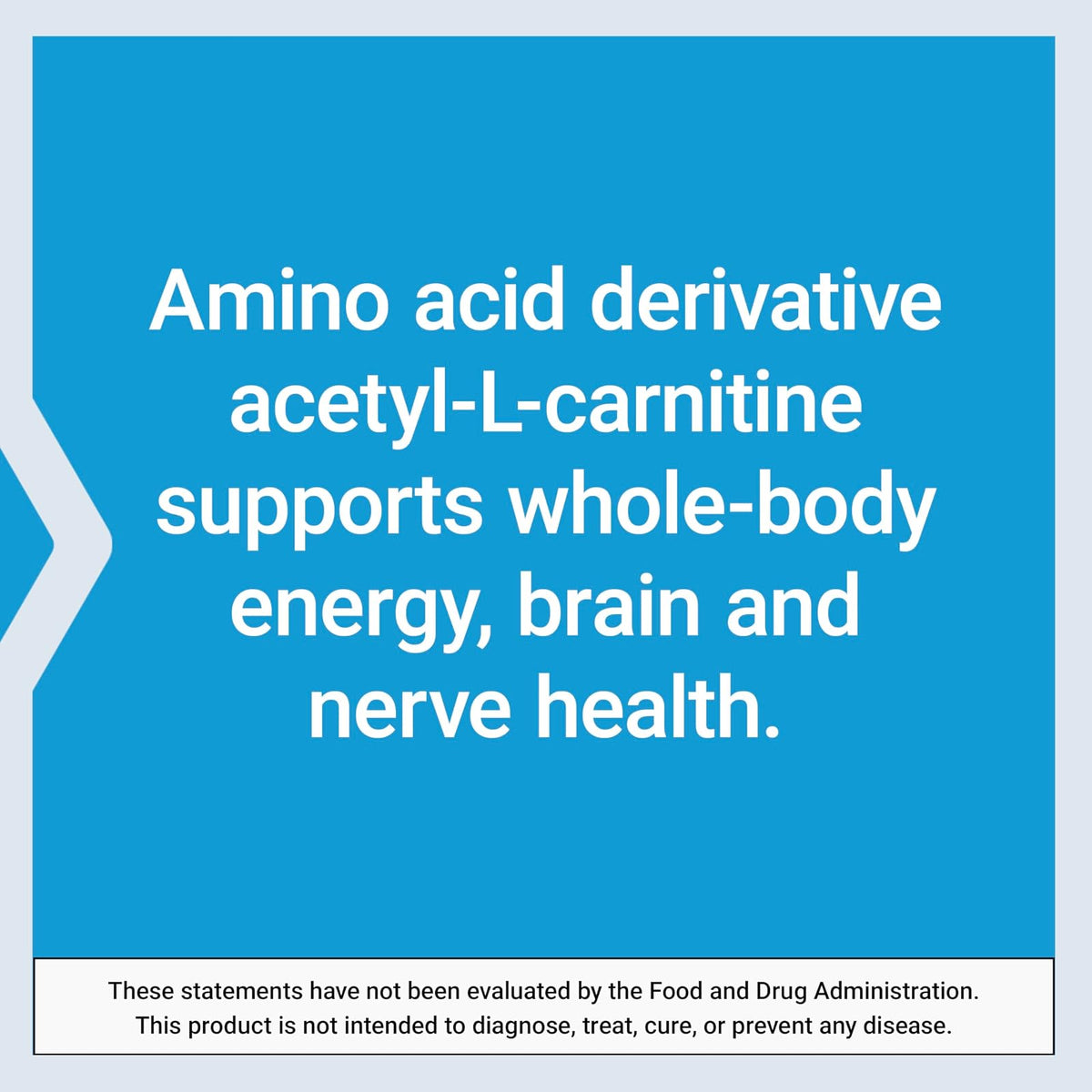 support weight management with l-carnitine