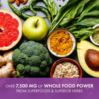 support women's immune health multivitamin