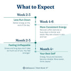 support your body's stem cell health