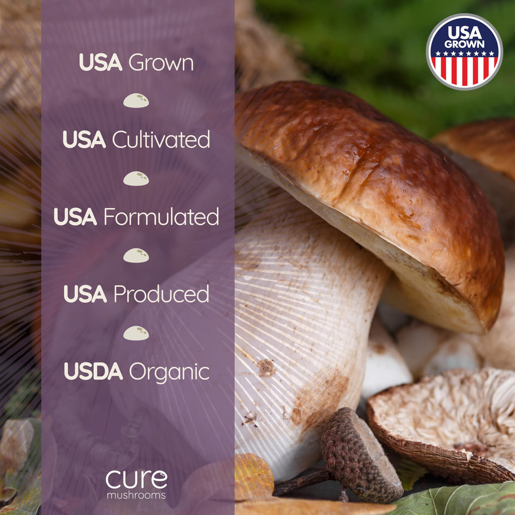 support your body with chaga