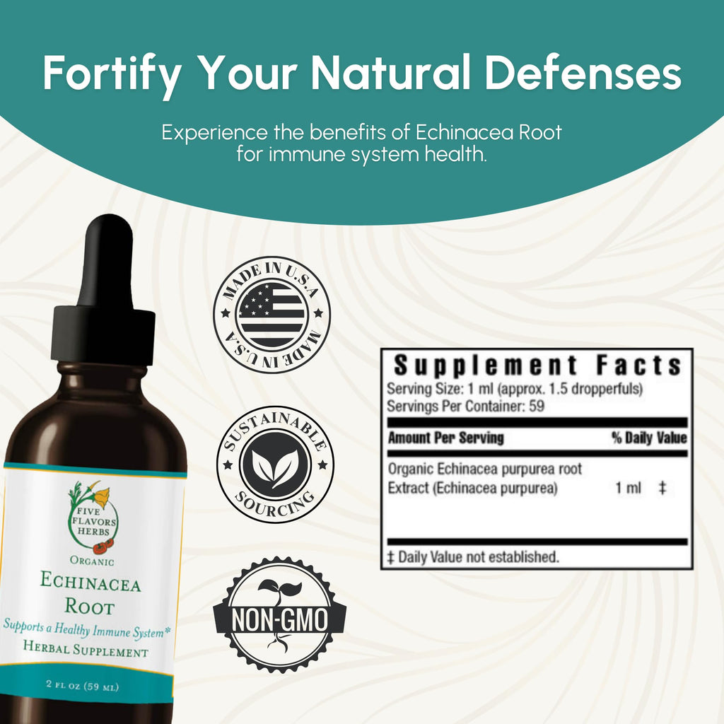 Support your body with echinacea