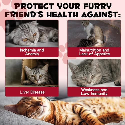 support your cat's energy needs