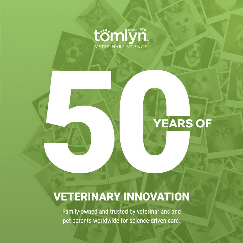 support your cat's immune system with l-lysine