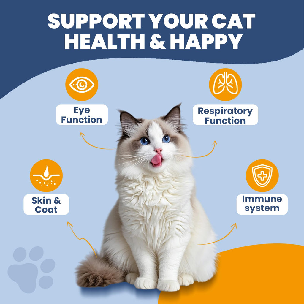 support your cat's immune system