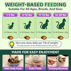 Support your cat's immune system