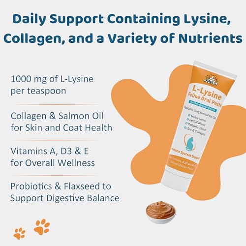 Support your cat's immune system