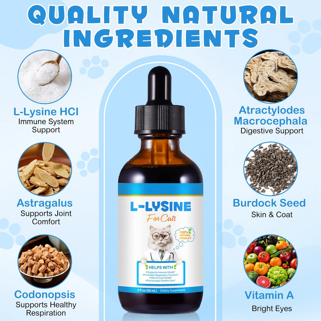 Support your cat's overall wellness